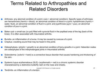 skeletal system and medical terminology. | PPTX