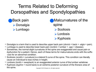 skeletal system and medical terminology. | PPTX