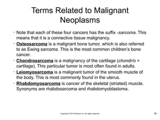 skeletal system and medical terminology. | PPTX
