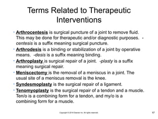 skeletal system and medical terminology. | PPTX