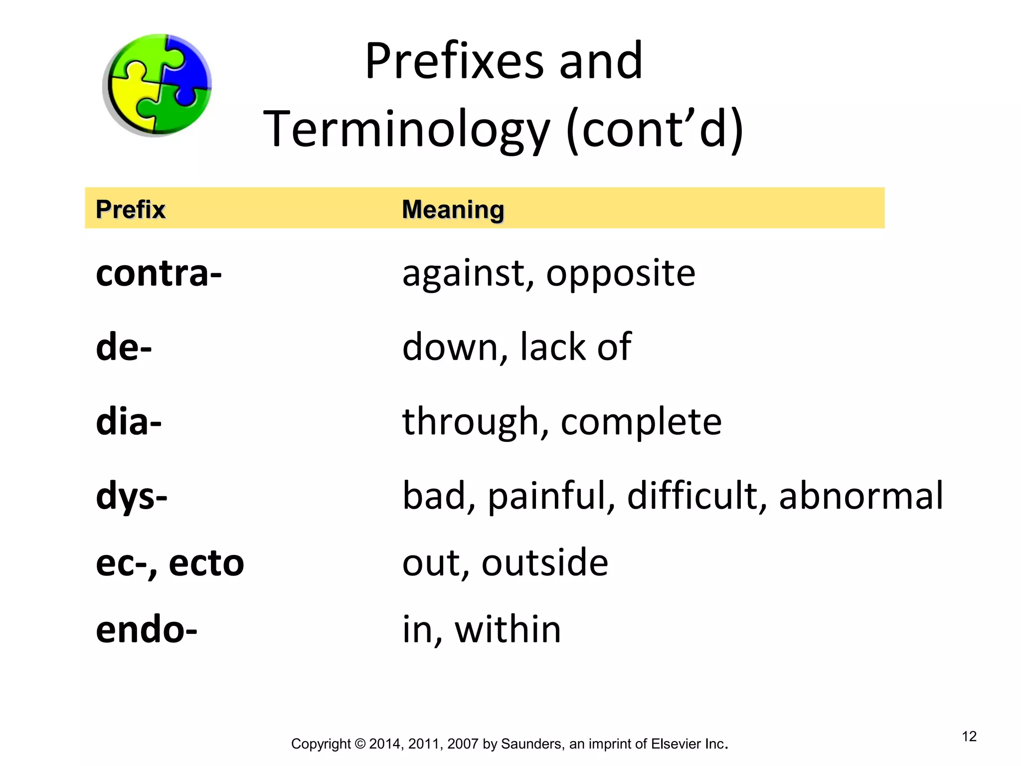 Medical Terminology Chapter 4 | PPT