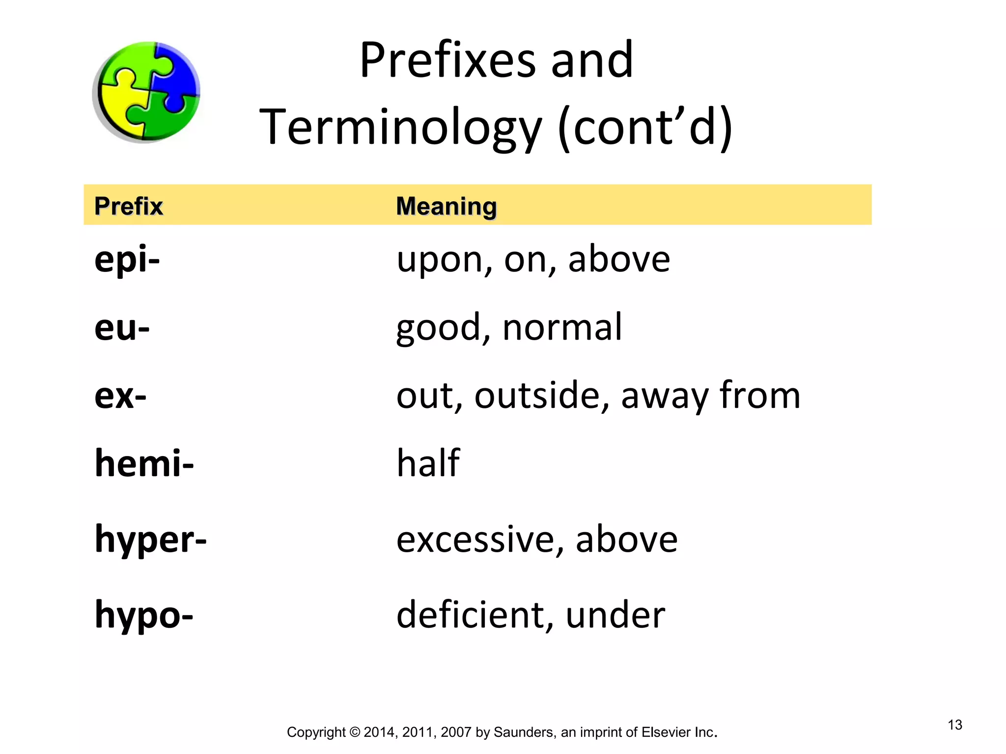 Medical Terminology Chapter 4 | PPT