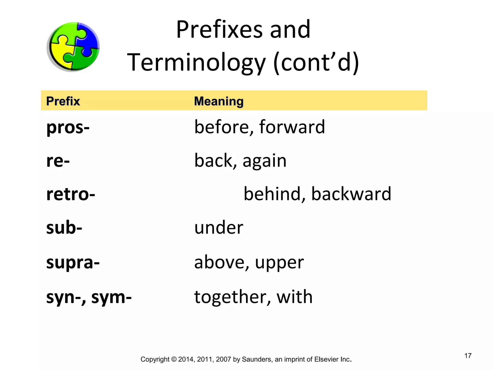 Medical Terminology Chapter 4 | PPT