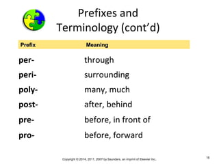 Medical Terminology Chapter 4 | PPT