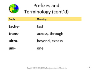 Medical Terminology Chapter 4 | PPT