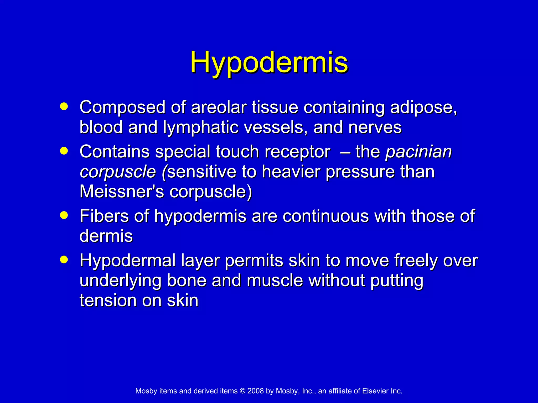 5. The Integument and Related Structures | PPT