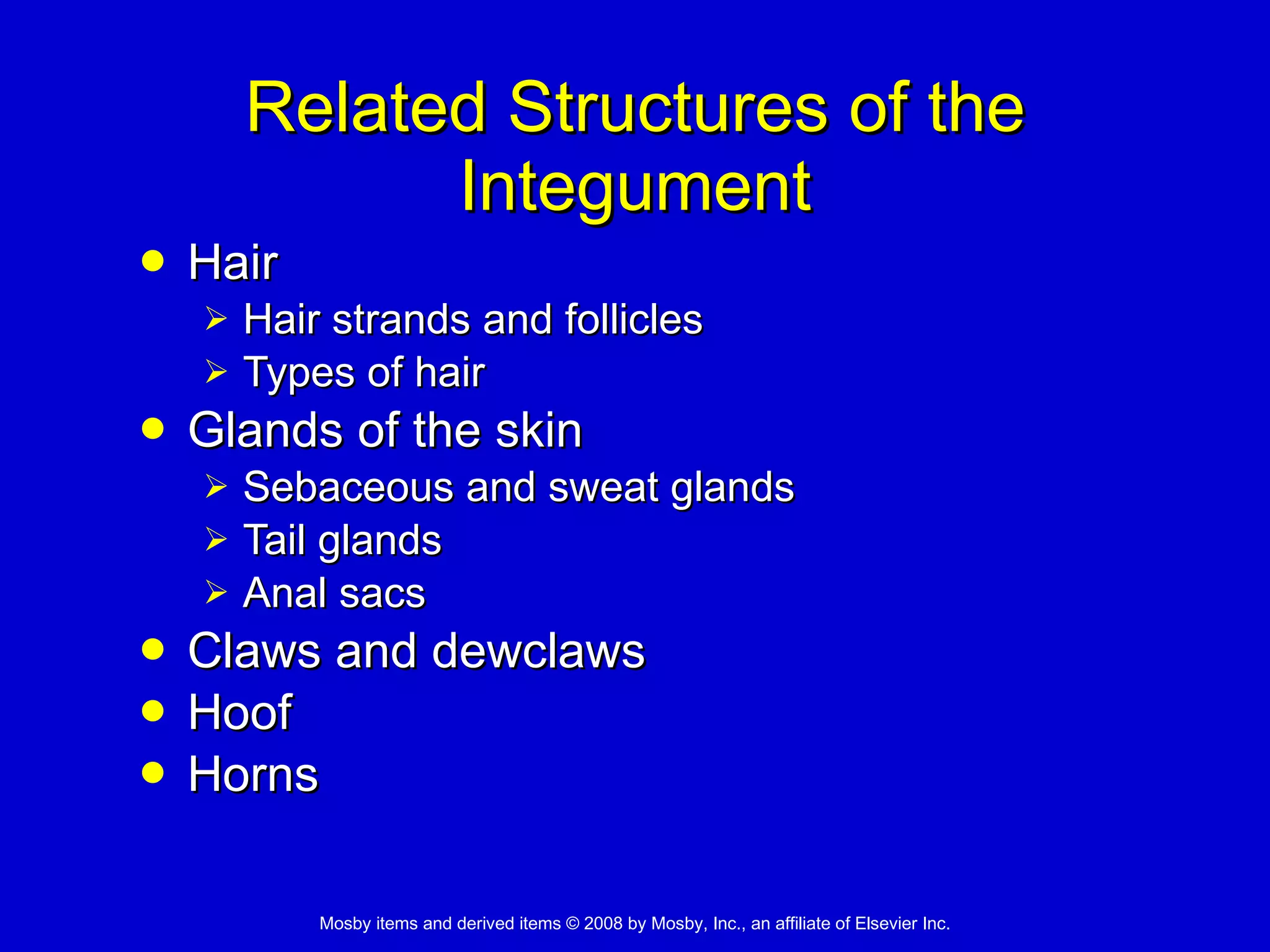 5. The Integument and Related Structures | PPT