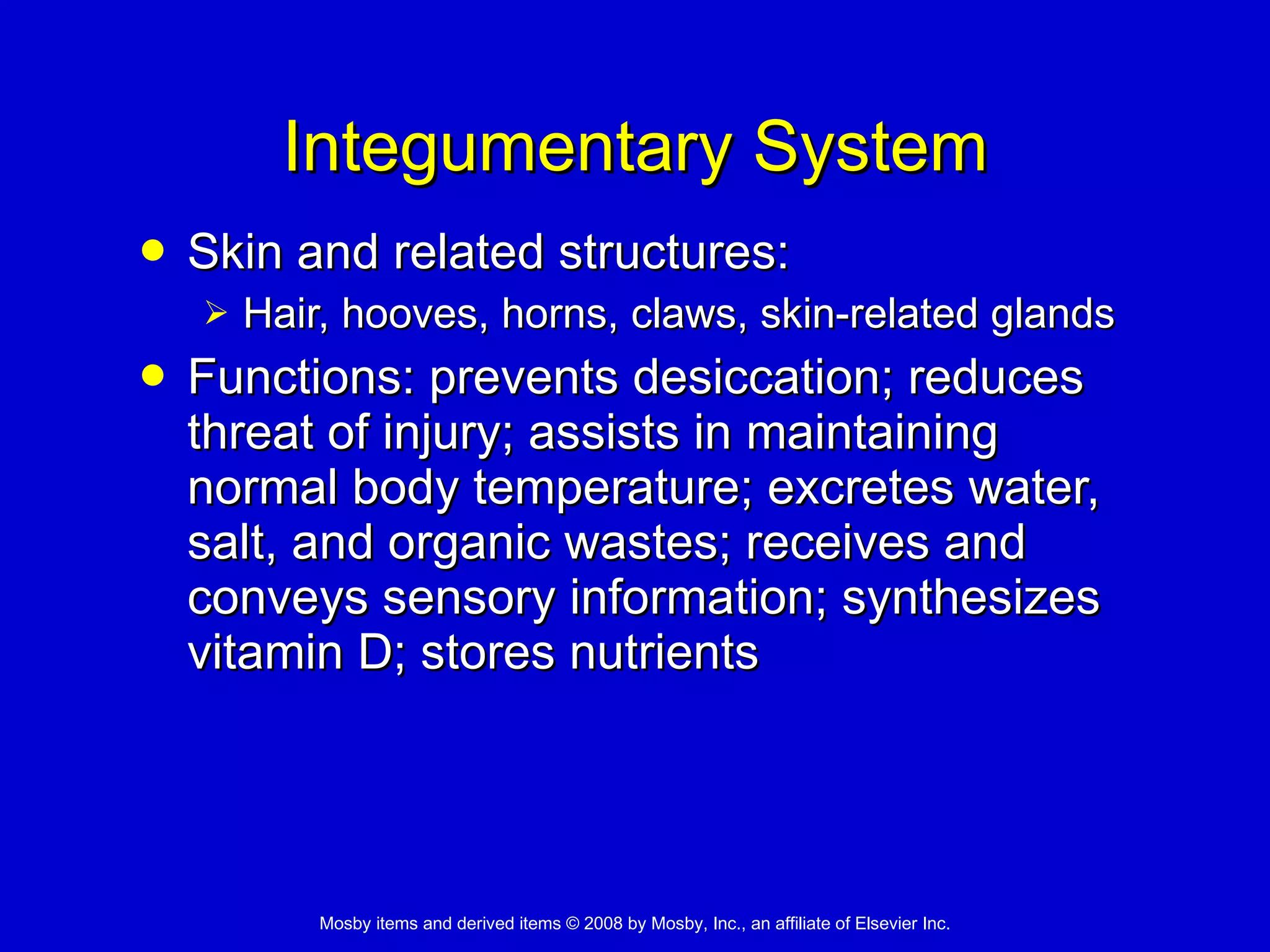 5. The Integument and Related Structures | PPT
