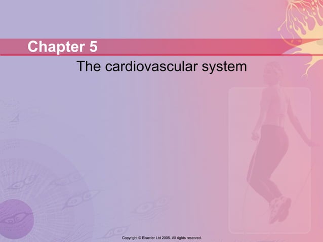 Chapter 005 cardiovascular | PPT