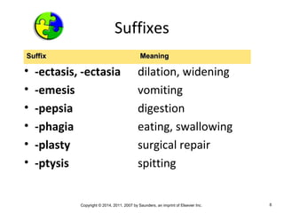 Medical Terminology Chapter 6 | PPT