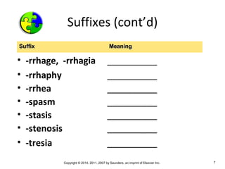 Medical Terminology Chapter 6 | PPT