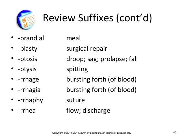 Medical Terminology Chapter 6