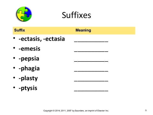 Medical Terminology Chapter 6 Medical Terminology Chapter 6