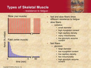 fisologia del musculo | PPT