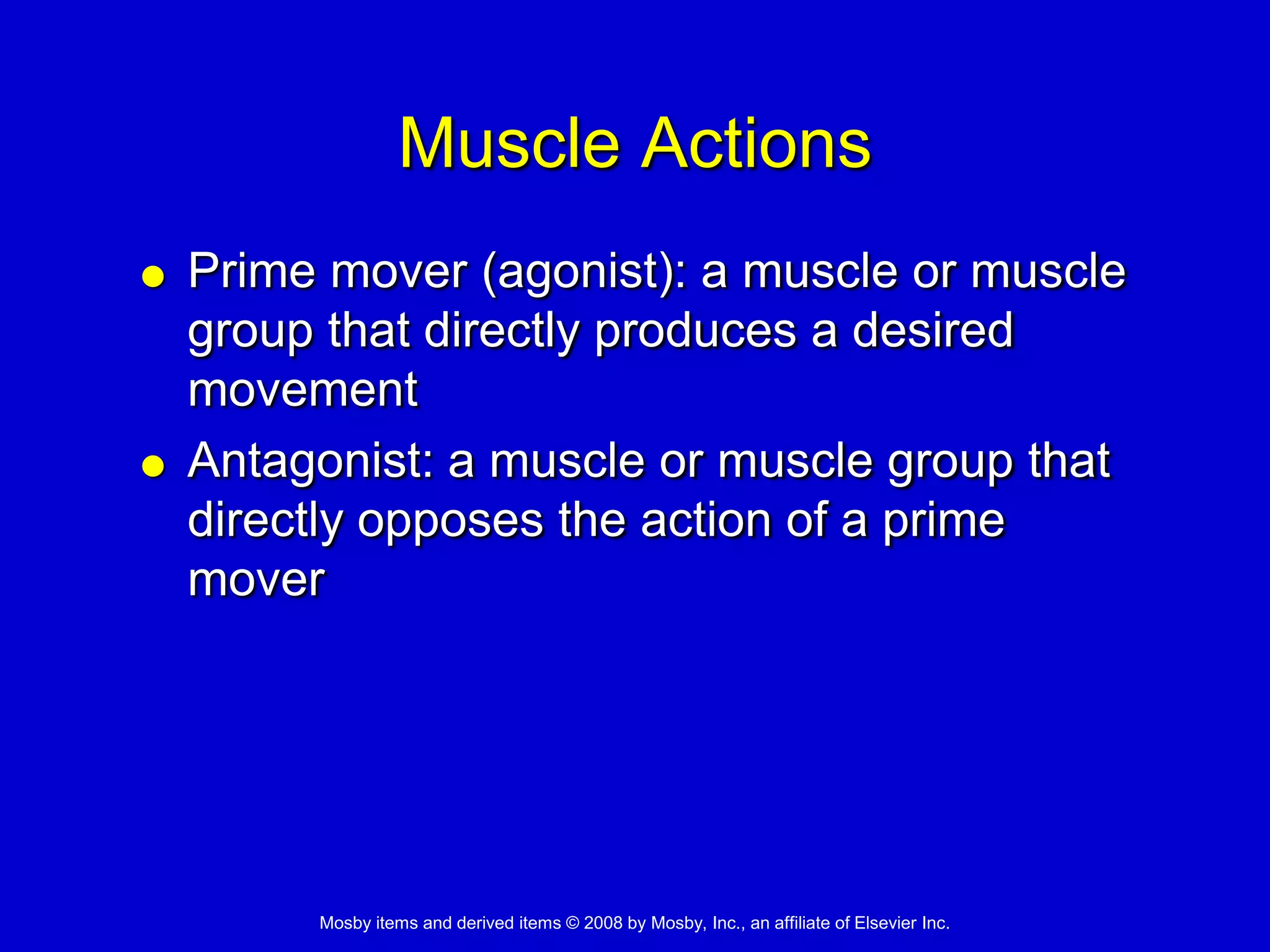 7. The Muscular System | PPT