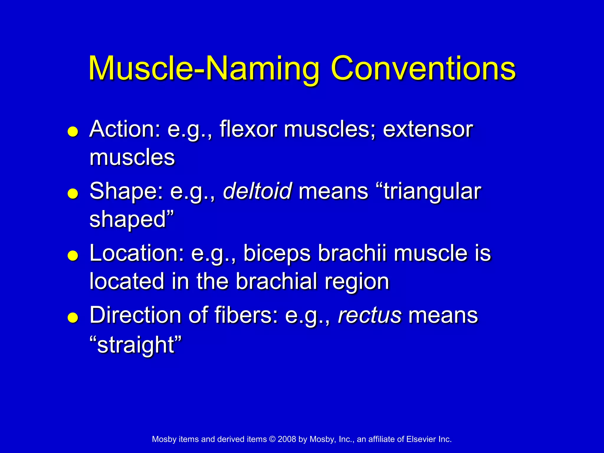 7. The Muscular System | PPT