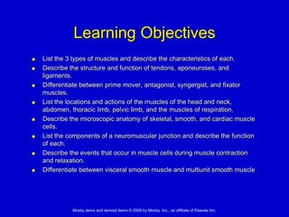 7. The Muscular System | PPT