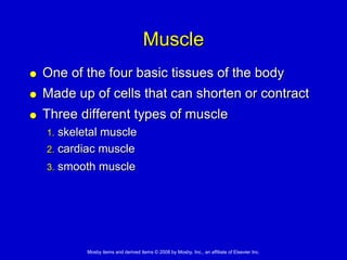 7. The Muscular System | PPT