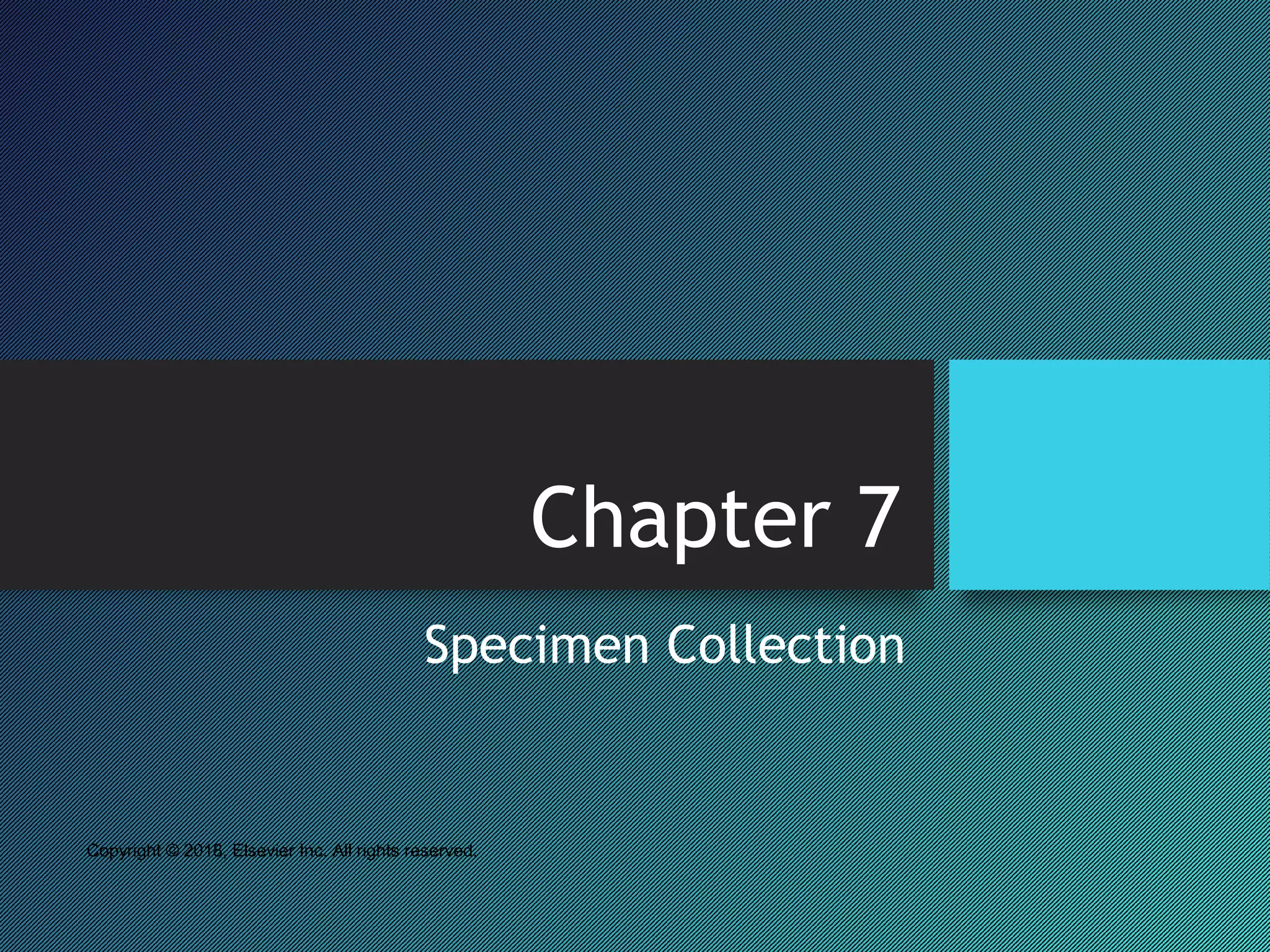 Chapter 007 | PPT