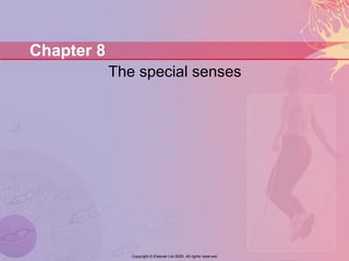 Chapter 008 special senses | PPT