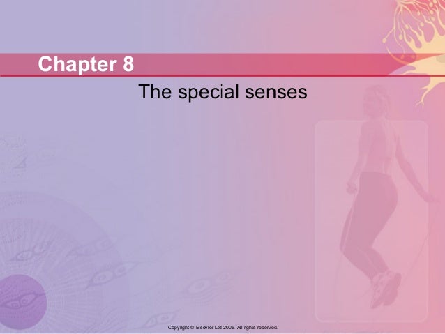 Chapter 008 special senses