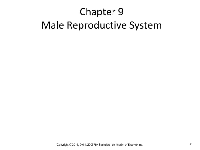 Chapter 9 Medical Terminology | PPT