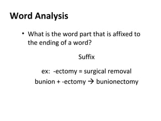 Chapter 01 | PPT | Eye and Vision Conditions | Diseases and Conditions