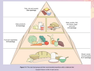 Chapter 011 nutrition | PPT