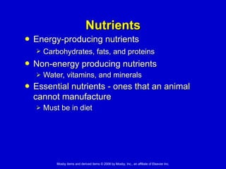 12. Nutrients and Metabolism | PPT