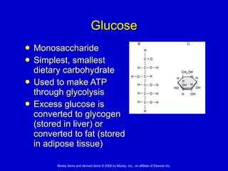 12. Nutrients and Metabolism | PPT