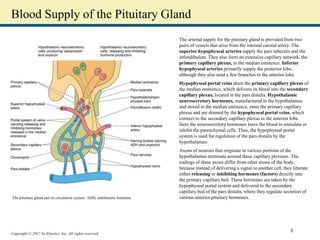 Endocrine System | PPTX