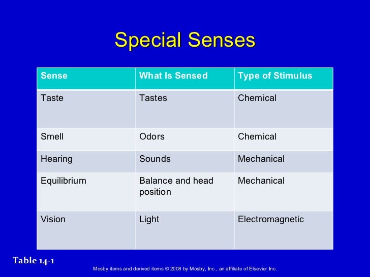 14. Sense Organs