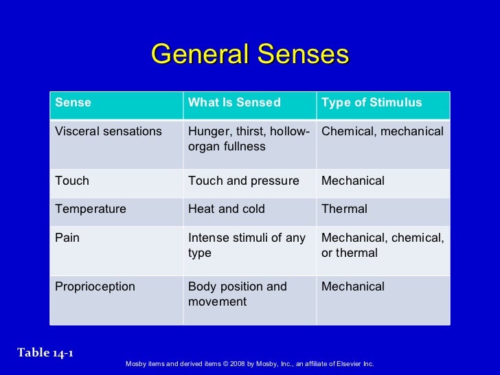 14. Sense Organs