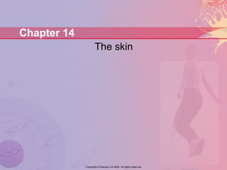 Chapter 014 the skin | PPT