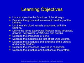 16. The Urinary System | PPT