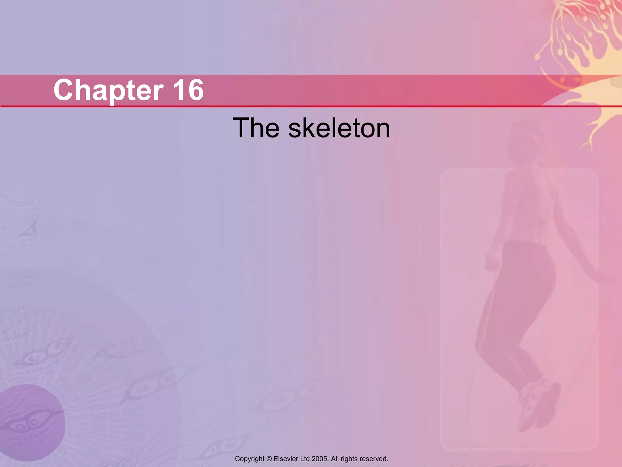 Chapter 016 skeleton | PPT