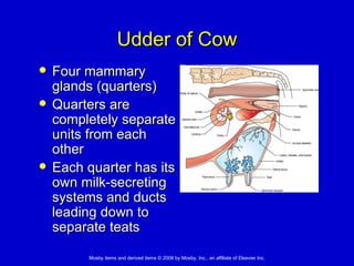 18. Pregnancy, Development, and Lactation | PPT