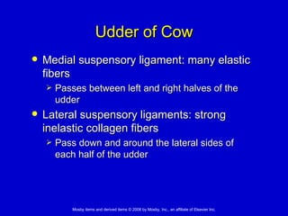18. Pregnancy, Development, and Lactation | PPT