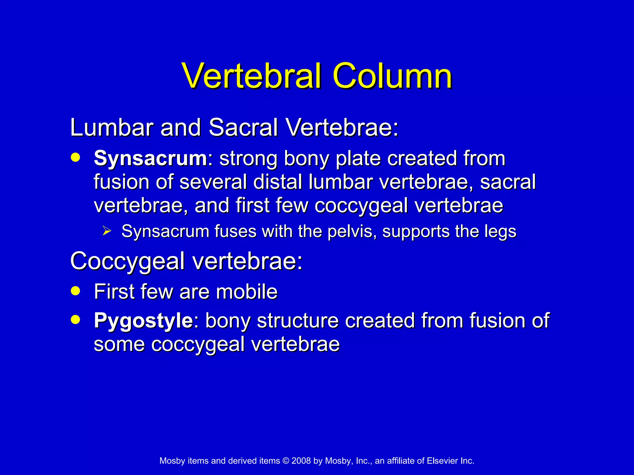 19. Avian Anatomy and Physiology | PPT