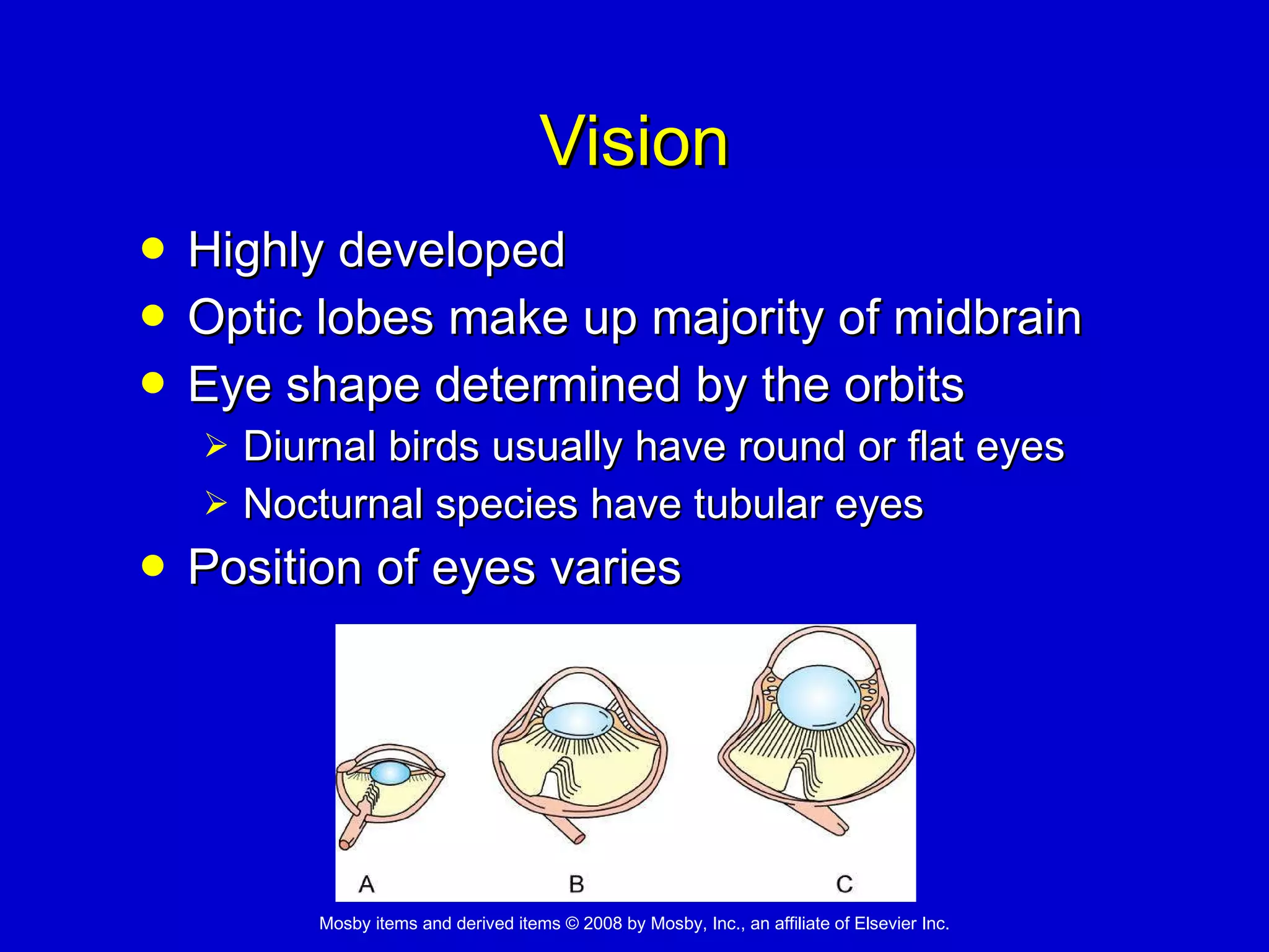 19. Avian Anatomy and Physiology | PPT