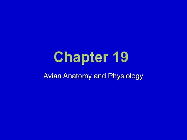 19. Avian Anatomy and Physiology | PPT