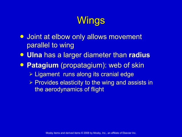 19. Avian Anatomy and Physiology | PPT