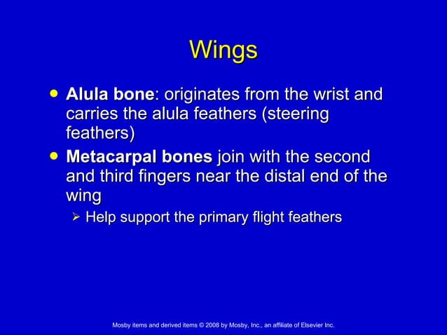19. Avian Anatomy and Physiology | PPT