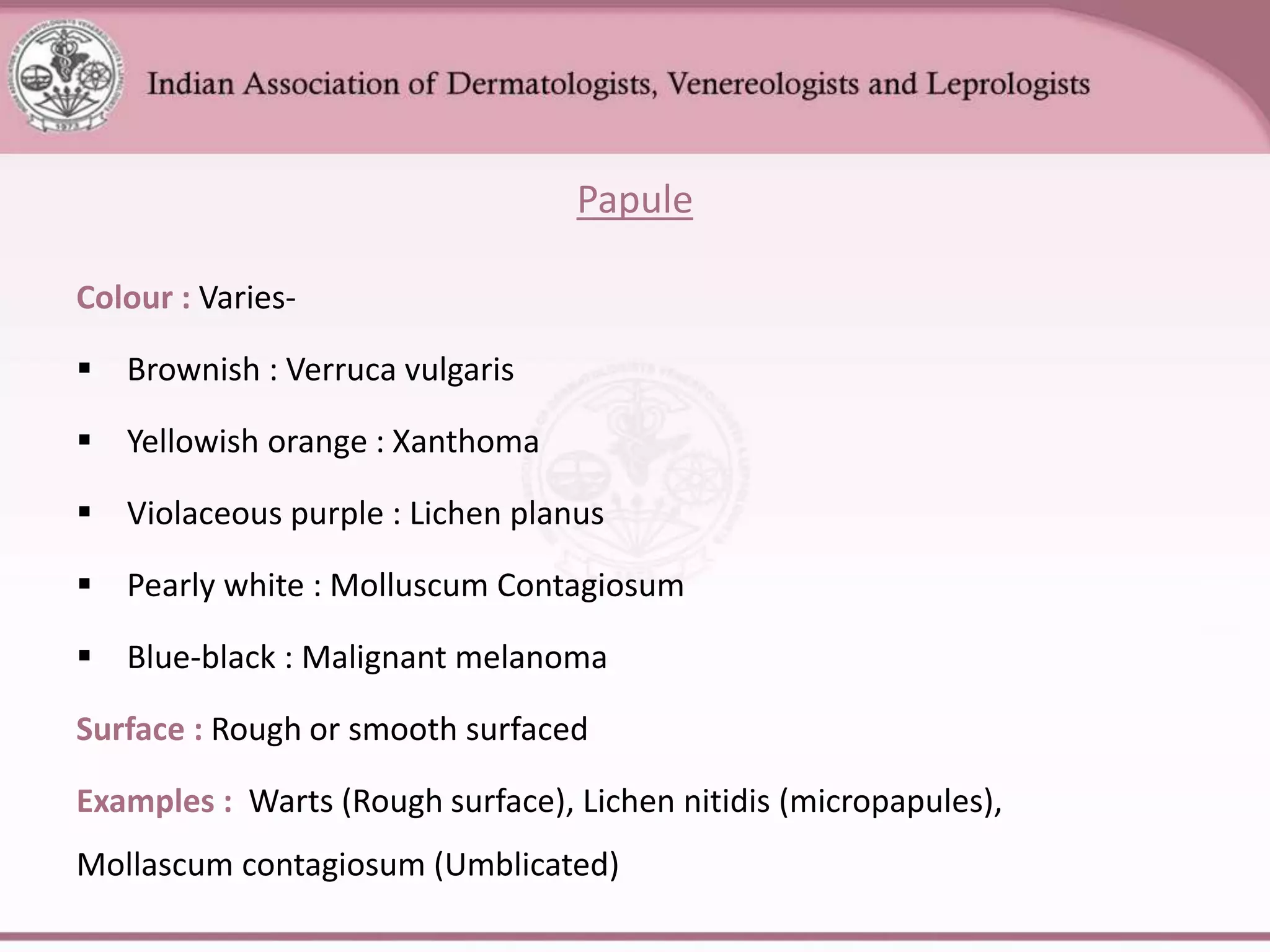 Chapter_01_Anatomy_of_Skin[1].pptx