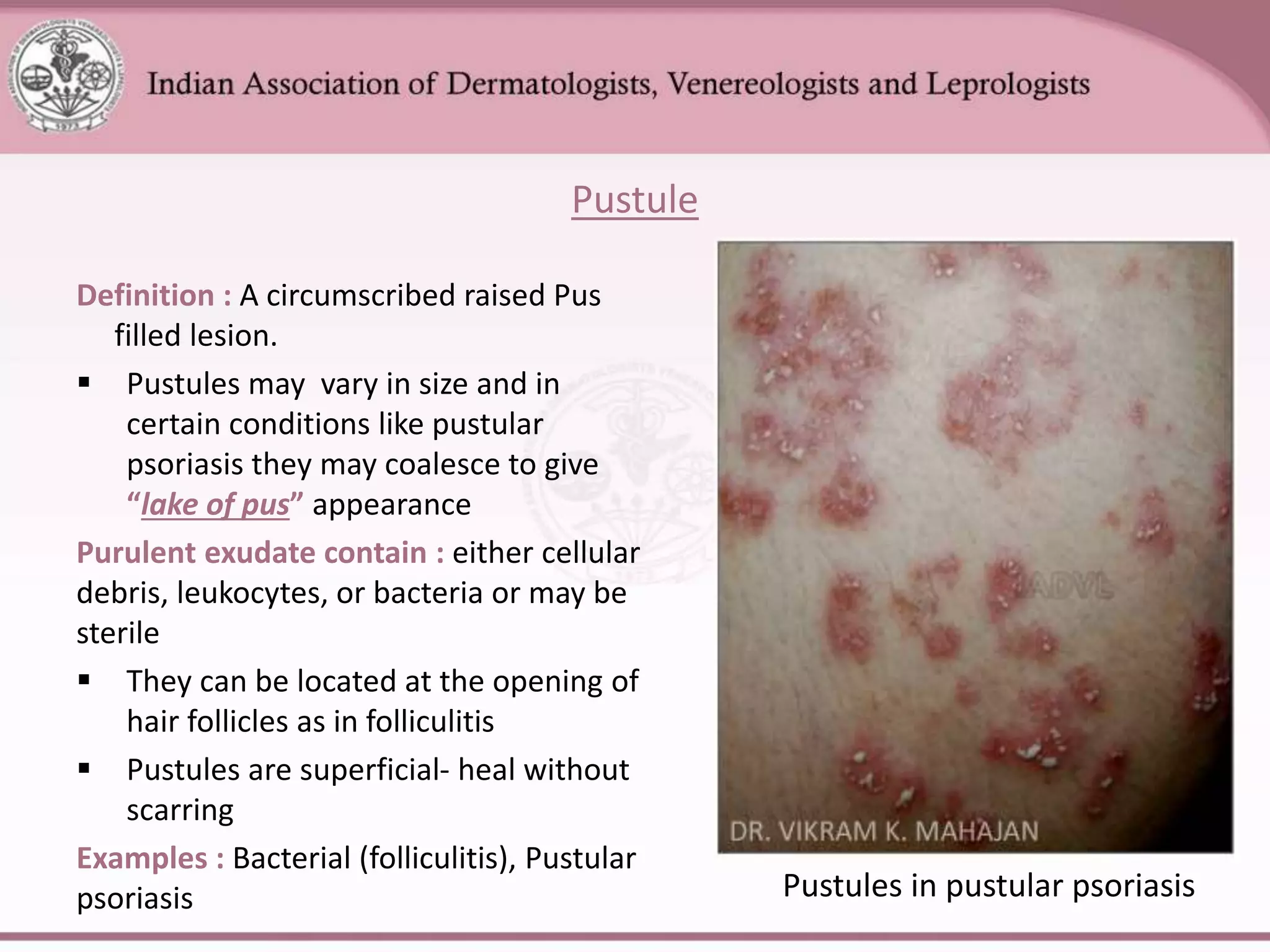 Chapter_01_Anatomy_of_Skin[1].pptx