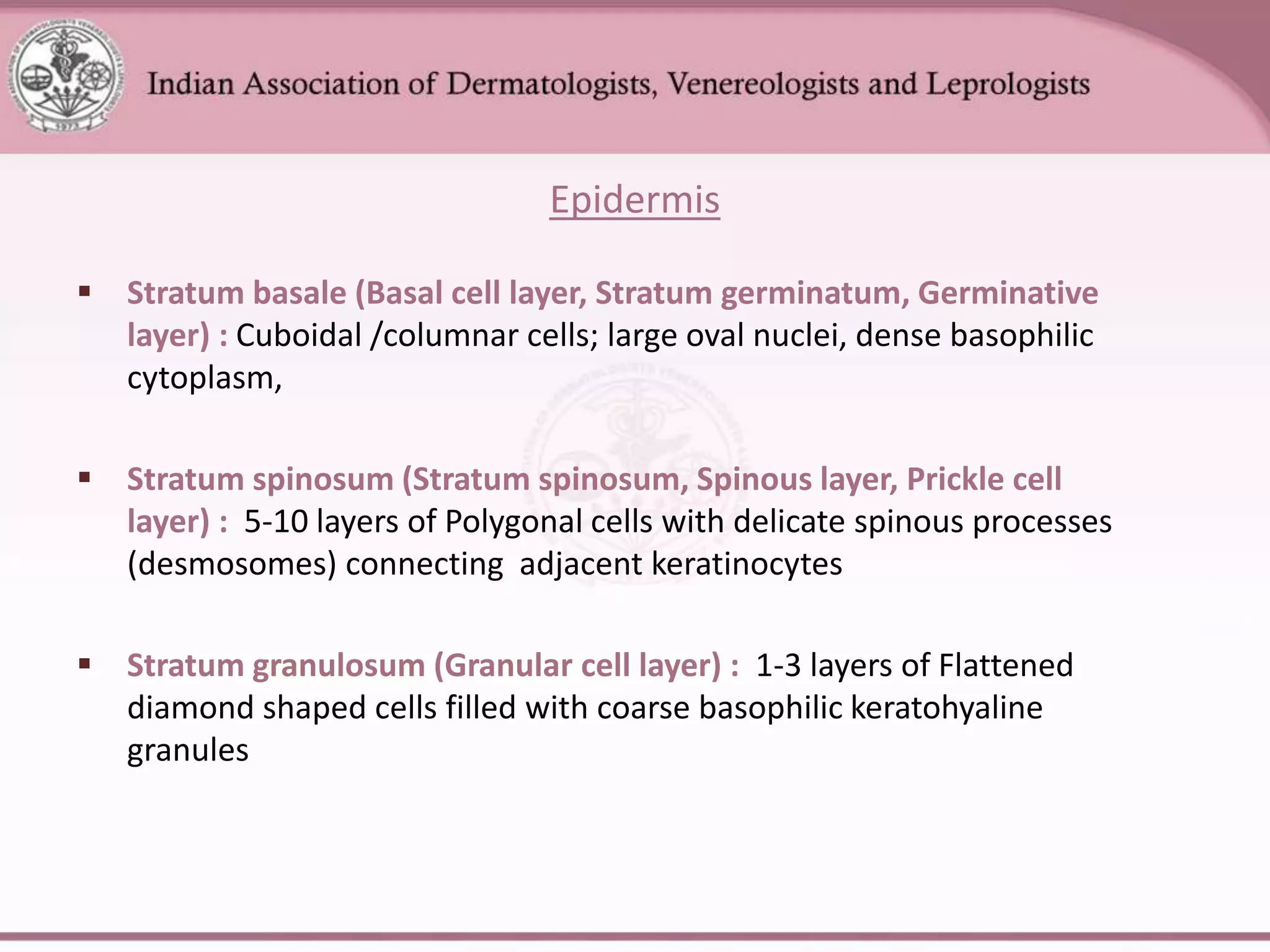 Chapter_01_Anatomy_of_Skin[1].pptx