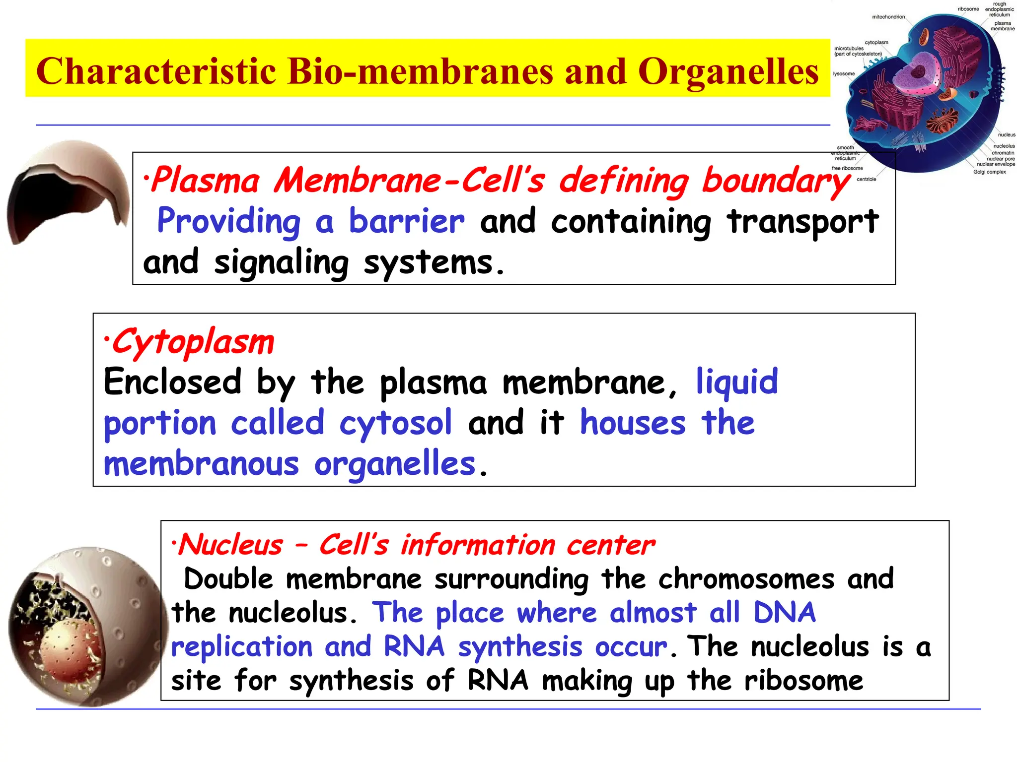 Introduction to Biochemistry . | PPT