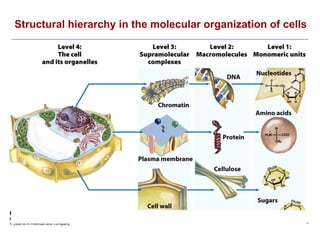 Introduction to Biochemistry . | PPT