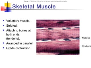 Chapter01 the study of body function | PPT