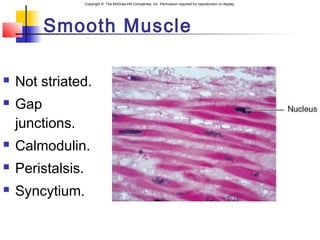 Chapter01 the study of body function | PPT